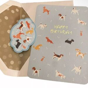 Design | Set Of 6 Animal Birthday Cards Dog And Cat Lover Birthday ...